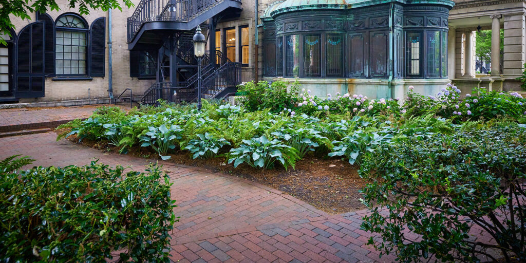 VCU Scott House – Fall Line
